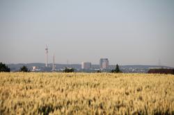 Akteursanalyse Landwirtschaft - CoProGrün